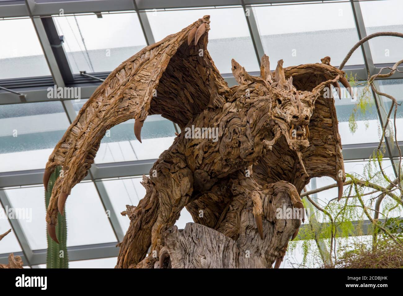 Singapore Aug 23rd 2020: the dragon root carving in the flower dome of ...
