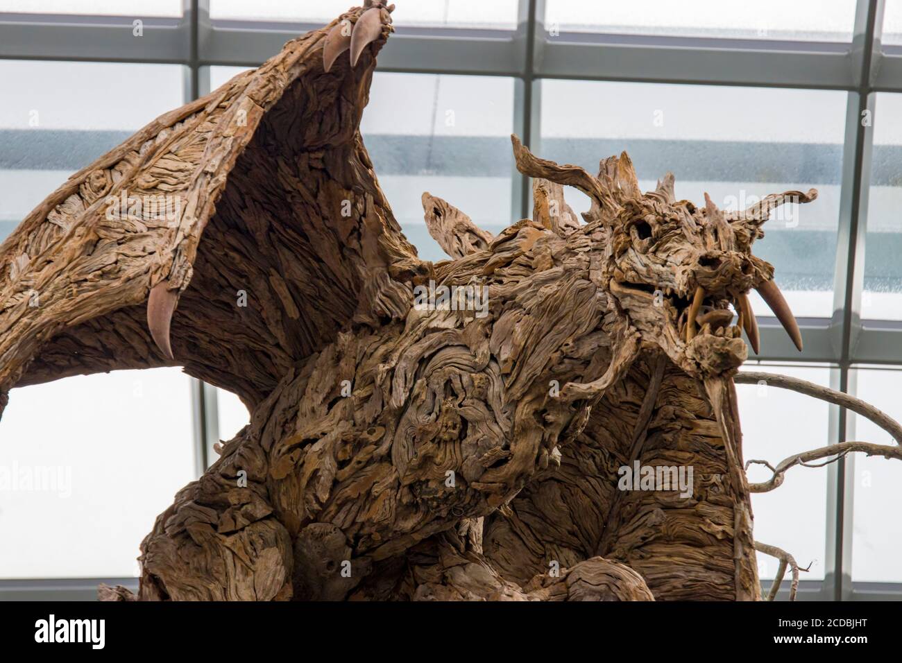 Singapore Aug 23rd 2020: the dragon root carving in the flower dome of ...