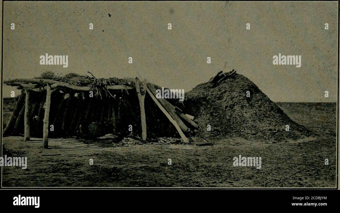 . How we are sheltered; a geographical reader . ^lim&^^i Fig. 15 ...