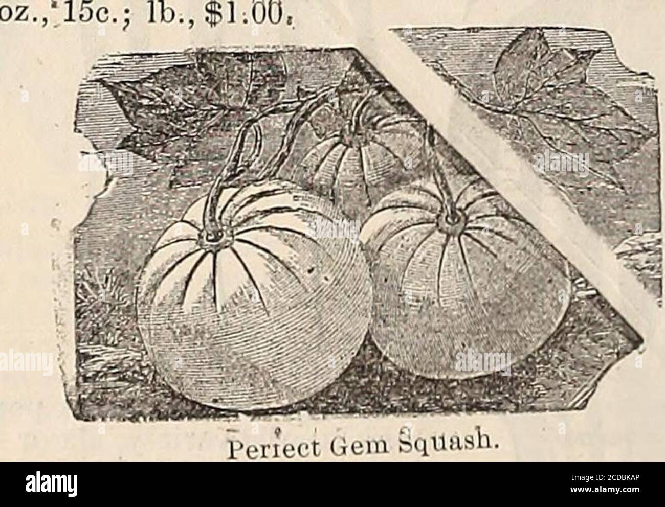 Often Winter Squash High Resolution Stock Photography and Images - Alamy