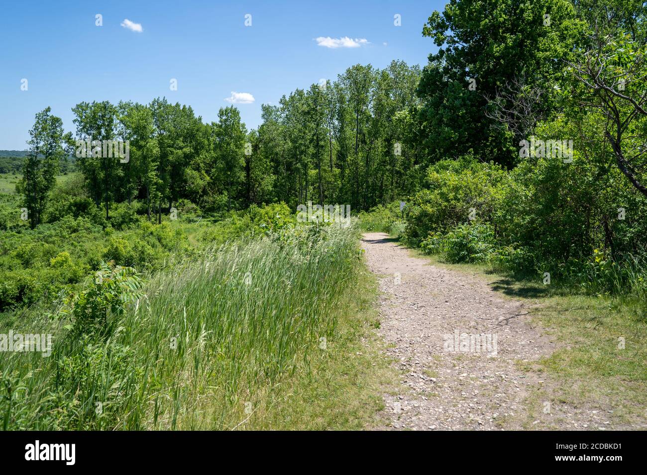 Prairie grassland view trail from the Seppmann Mill in Minneopa State ...