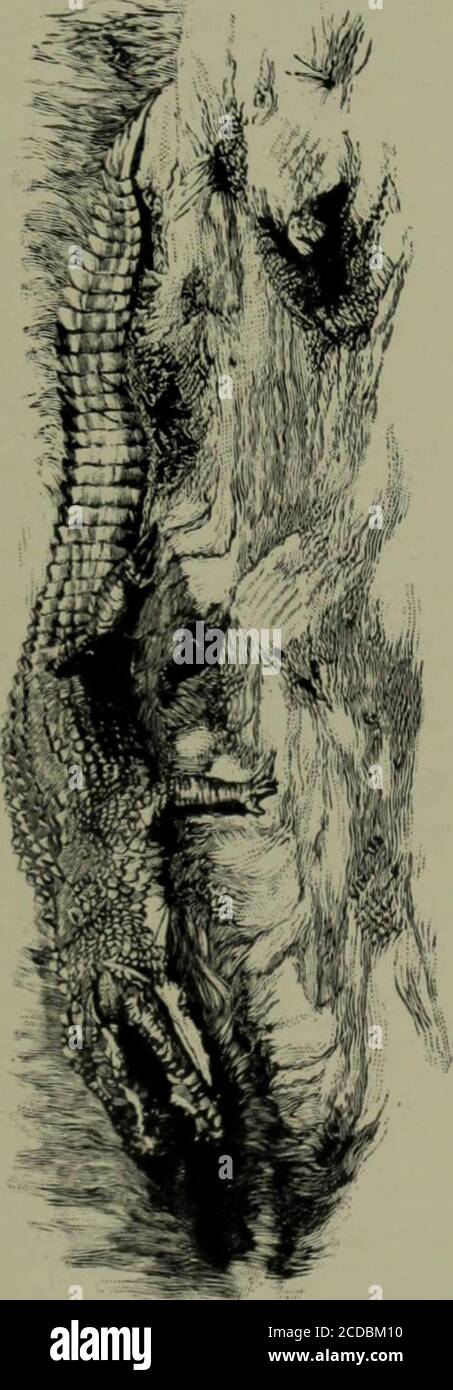 Clingi hi-res stock photography and images - Alamy