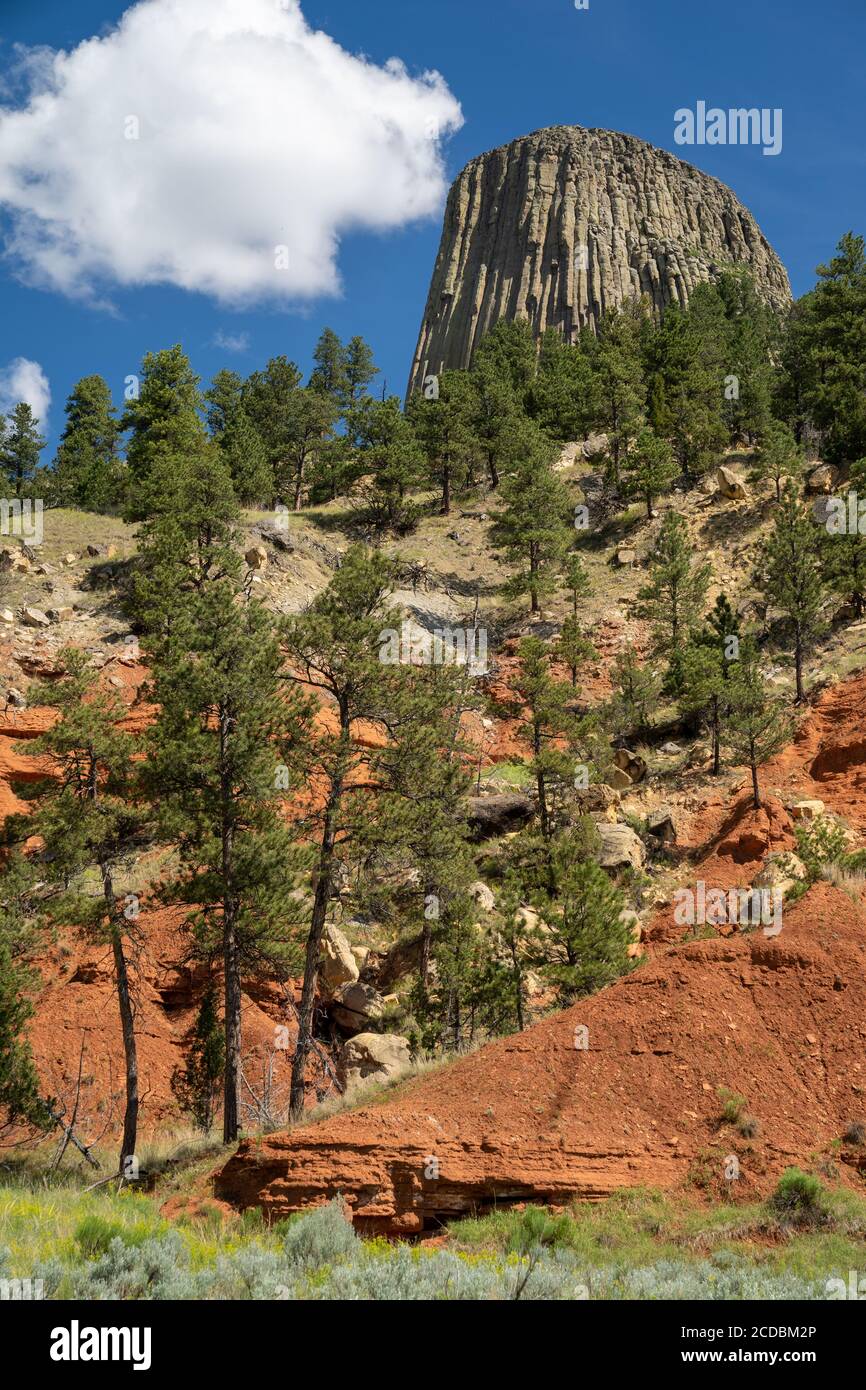 Red rocks in front of Devils Tower National Monument in Wyoming Stock ...