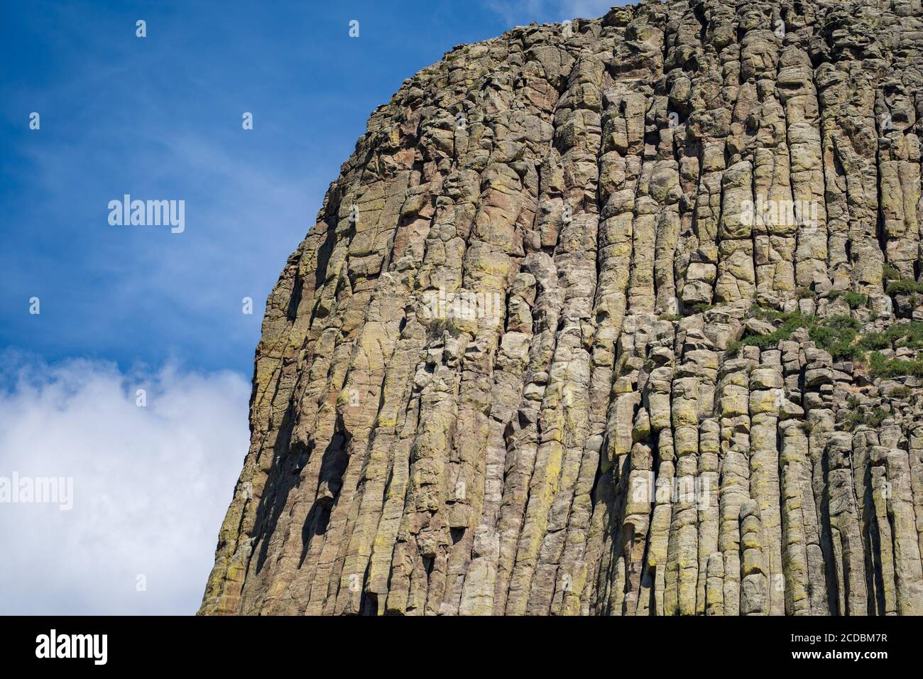 Close up detail view of the vertical basalt columns of Devils Tower ...