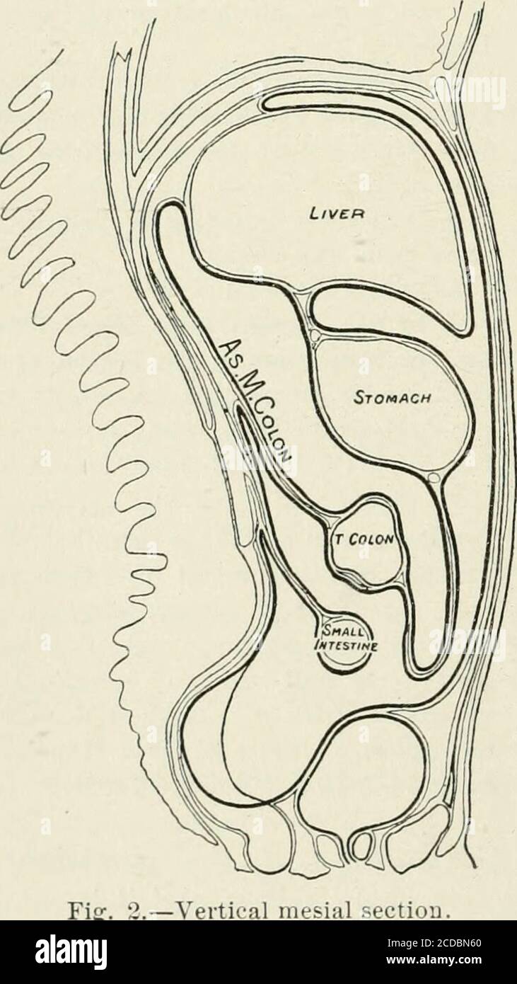 . Annual and analytical cyclopaedia of practical medicine . Fic^. I ...