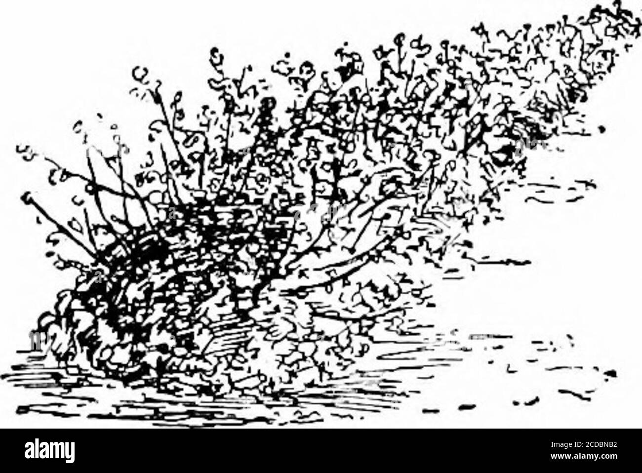 Simple layering hi-res stock photography and images - Alamy