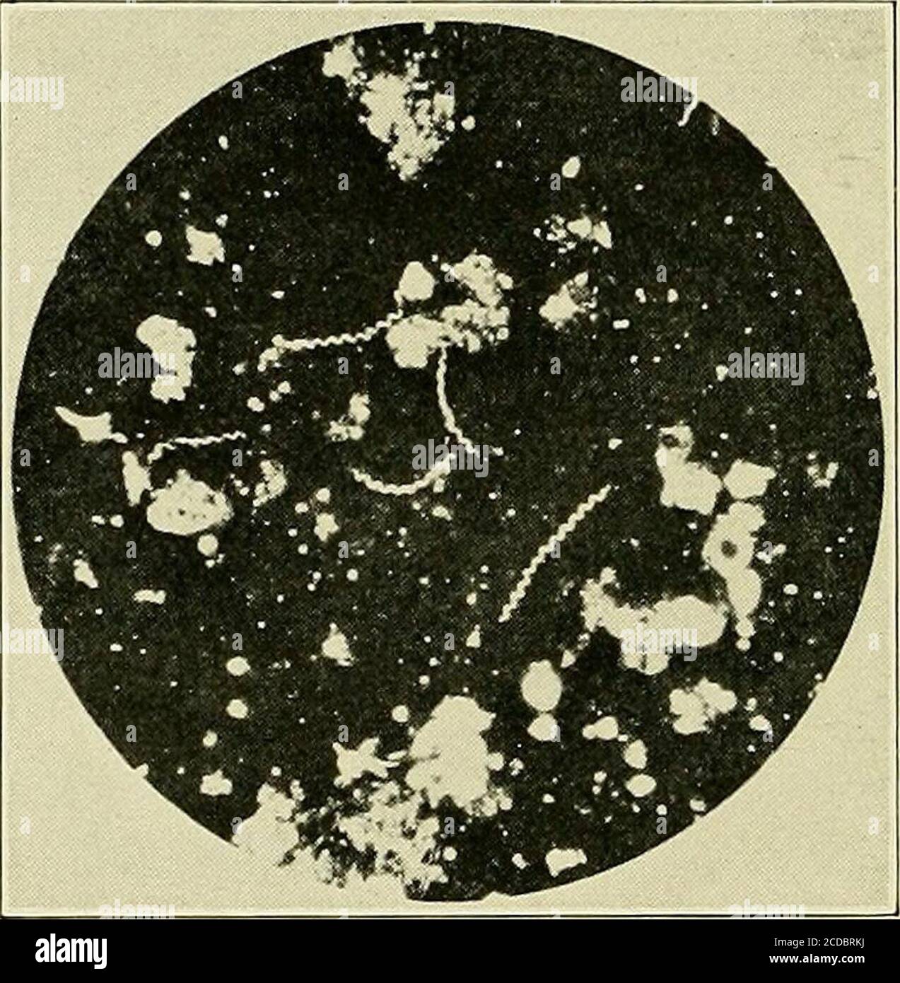 Microscope dark field condenser hi-res stock photography and images - Alamy