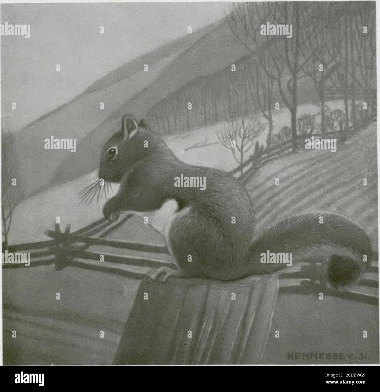 L'hiver et les animaux hi-res stock photography and images - Alamy