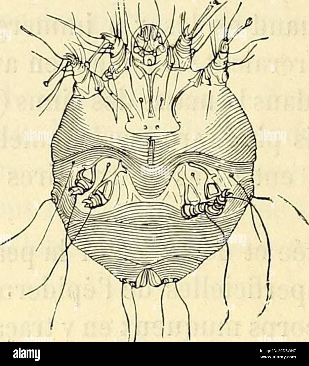 Quator hi-res stock photography and images - Alamy