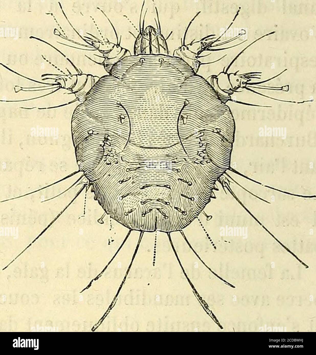Formation de paires hi-res stock photography and images - Alamy