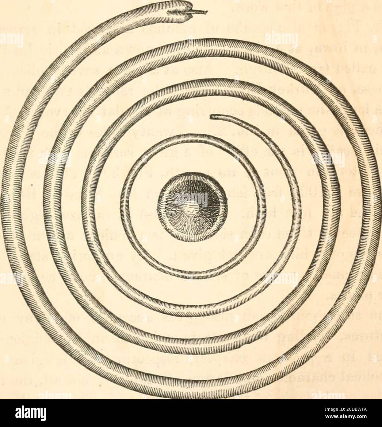 The serpent symbol, and the worship of the reciprocal principles of ...