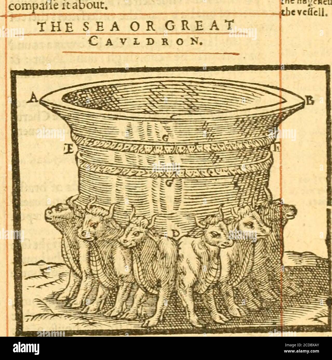 . The Bible : that is the Holy Scriptures conteined in the Old and New ...