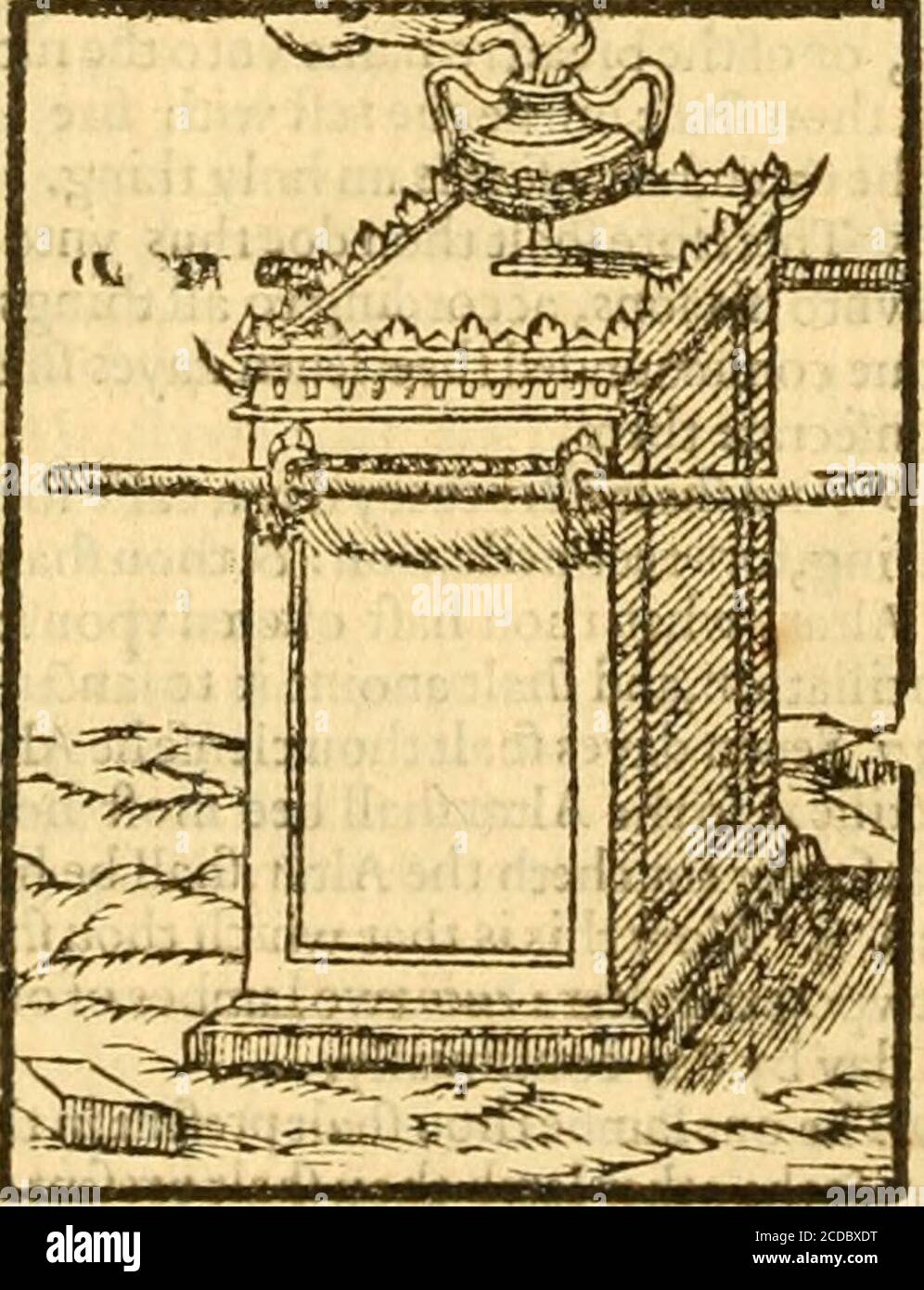 Shittim wood hi-res stock photography and images - Alamy