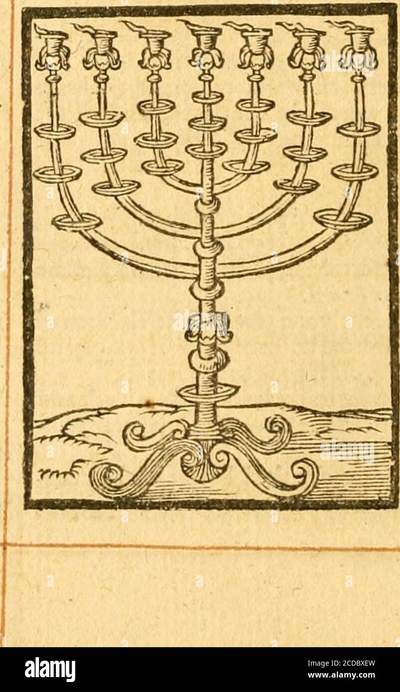 Irpon hi-res stock photography and images - Alamy