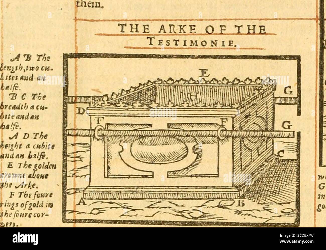 Table of shewbread hi-res stock photography and images - Alamy