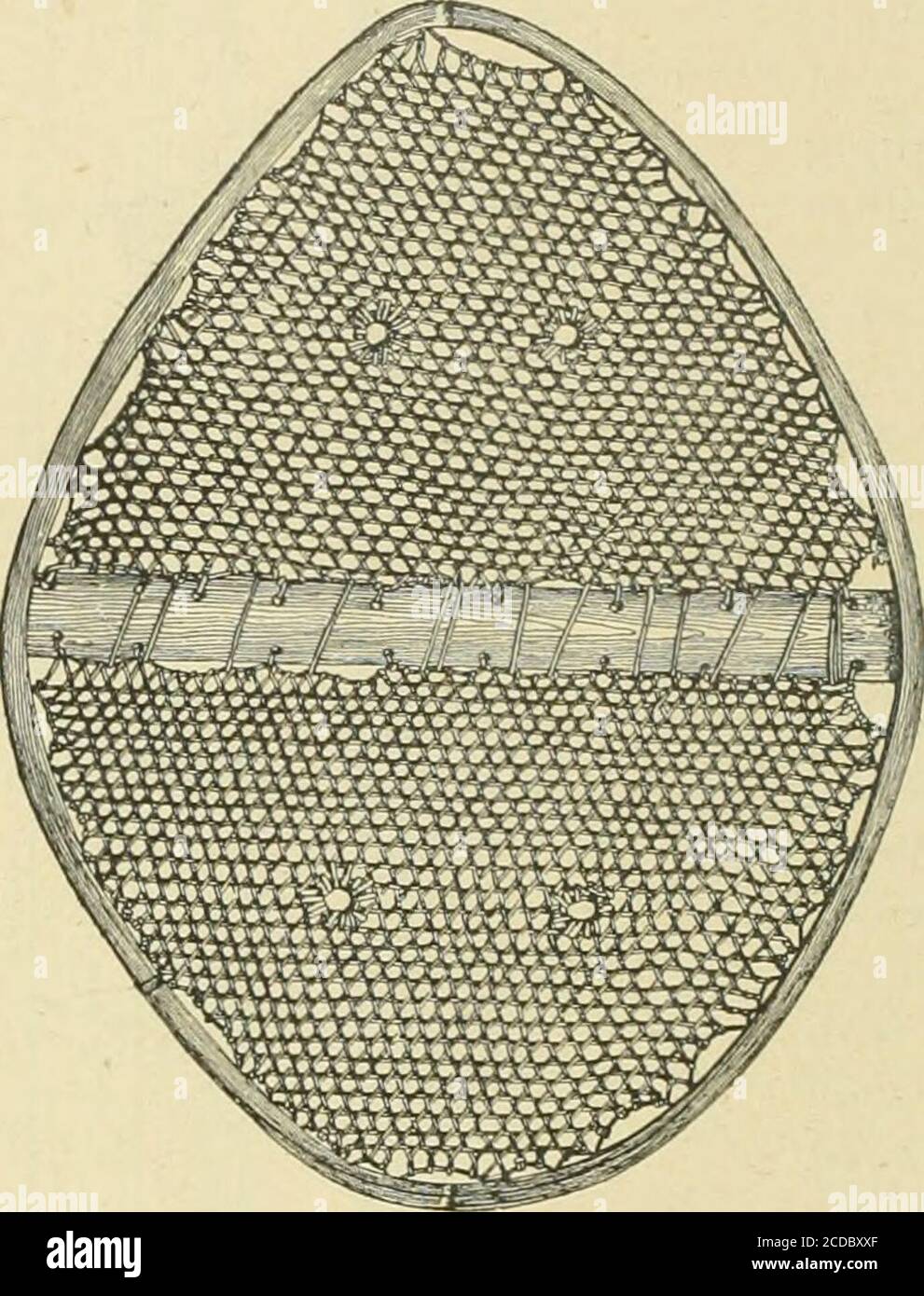 Bot with holes hi-res stock photography and images - Alamy