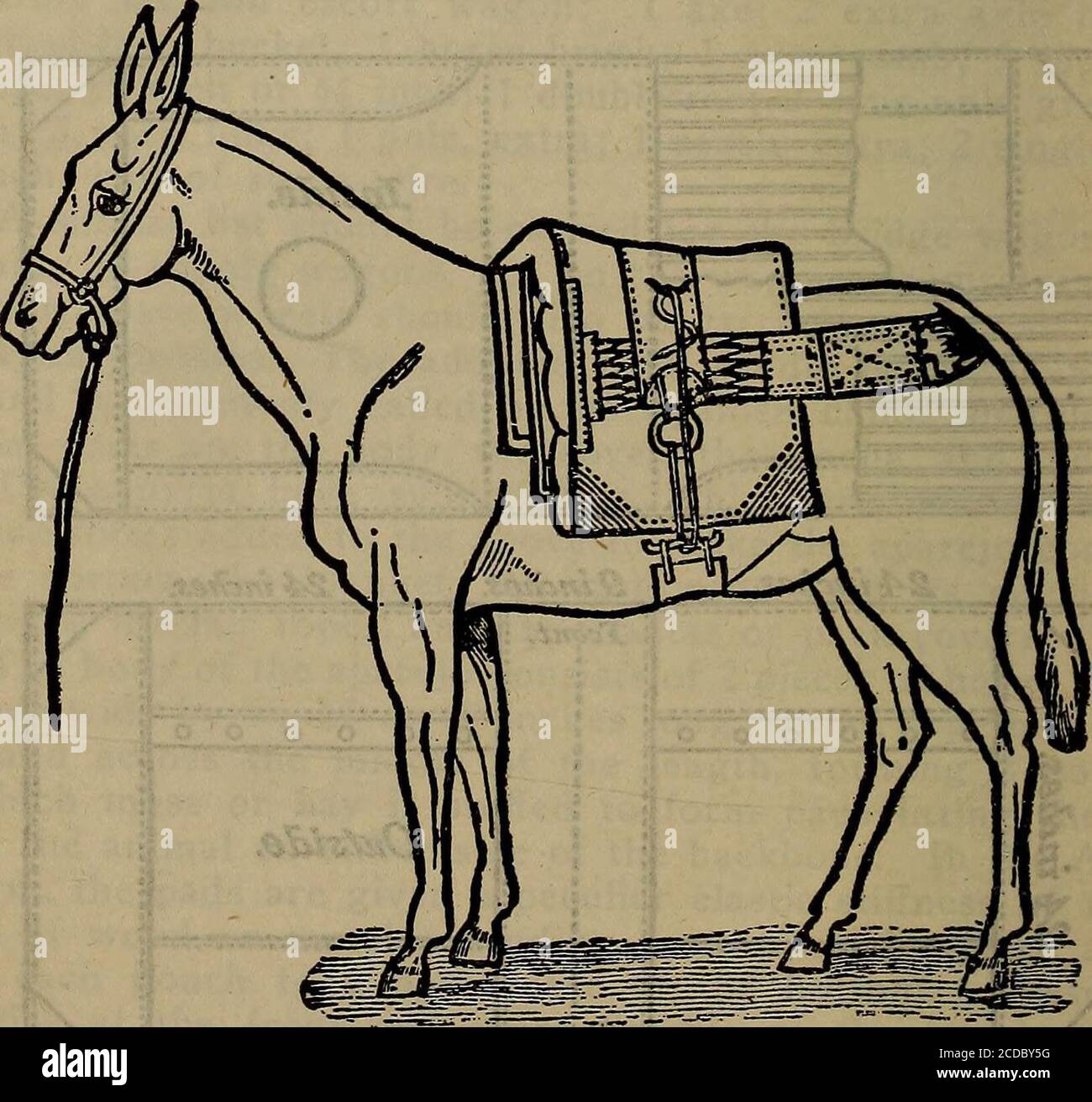 . Farrow's manual of military training . tfcirz ; o o o o o o Outride ...