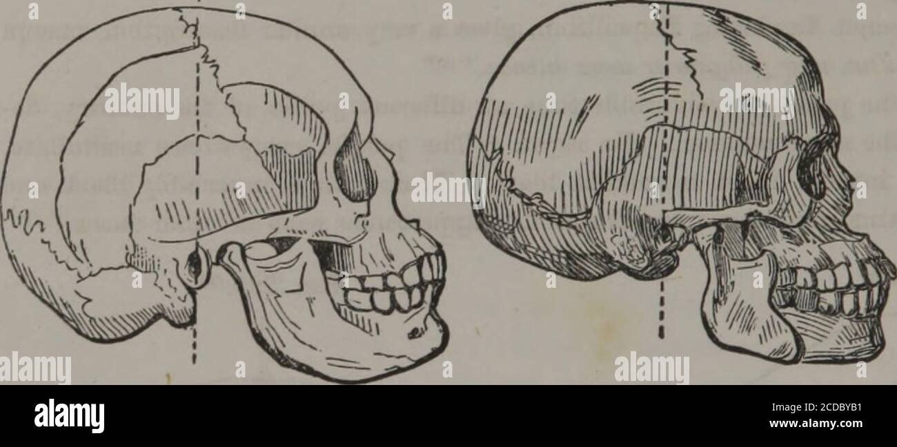 . Types of mankind : or ethnological researches, based upon the ancient ...