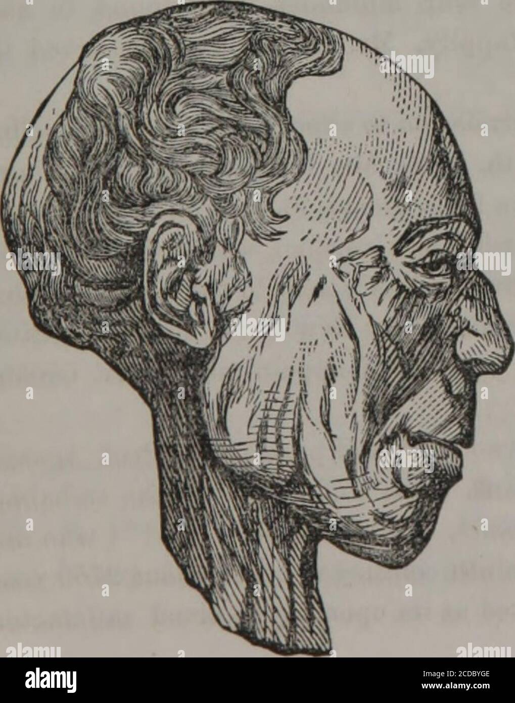 . Types of mankind : or ethnological researches, based upon the ancient ...