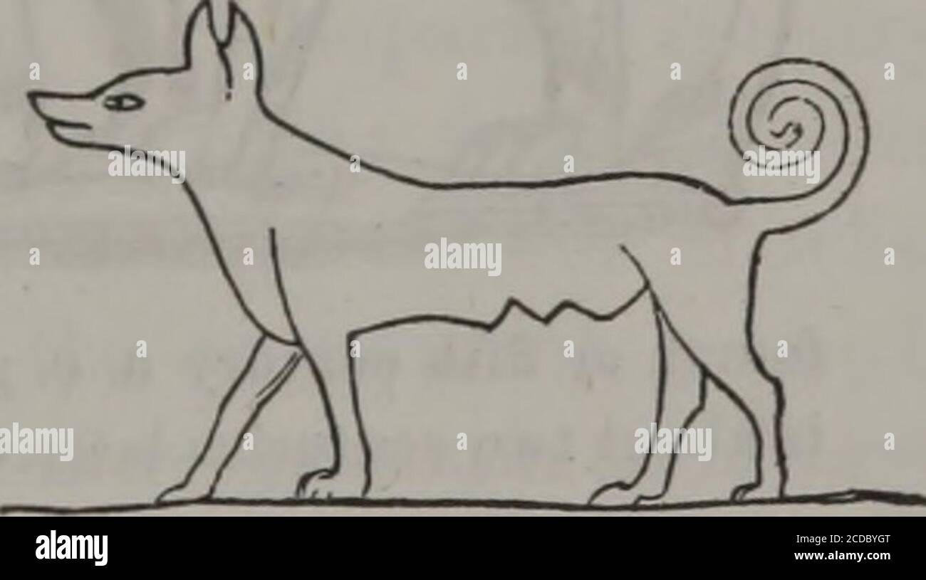 . Types of mankind : or ethnological researches, based upon the ancient ...