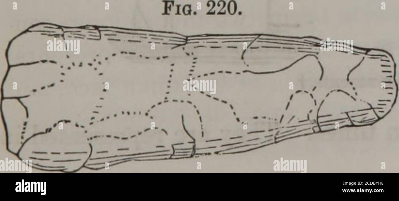 Types Of Mankind High Resolution Stock Photography and Images - Alamy