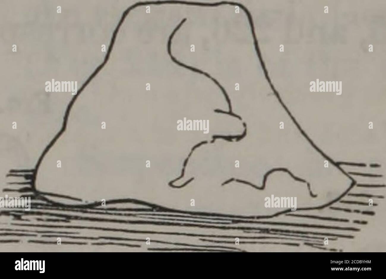 . Types of mankind : or ethnological researches, based upon the ancient ...