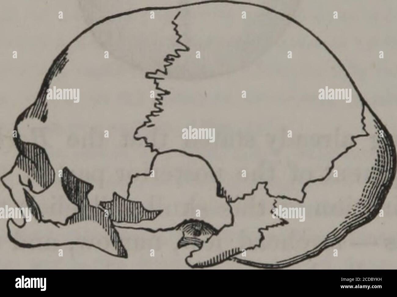 . Types of mankind : or ethnological researches, based upon the ancient ...