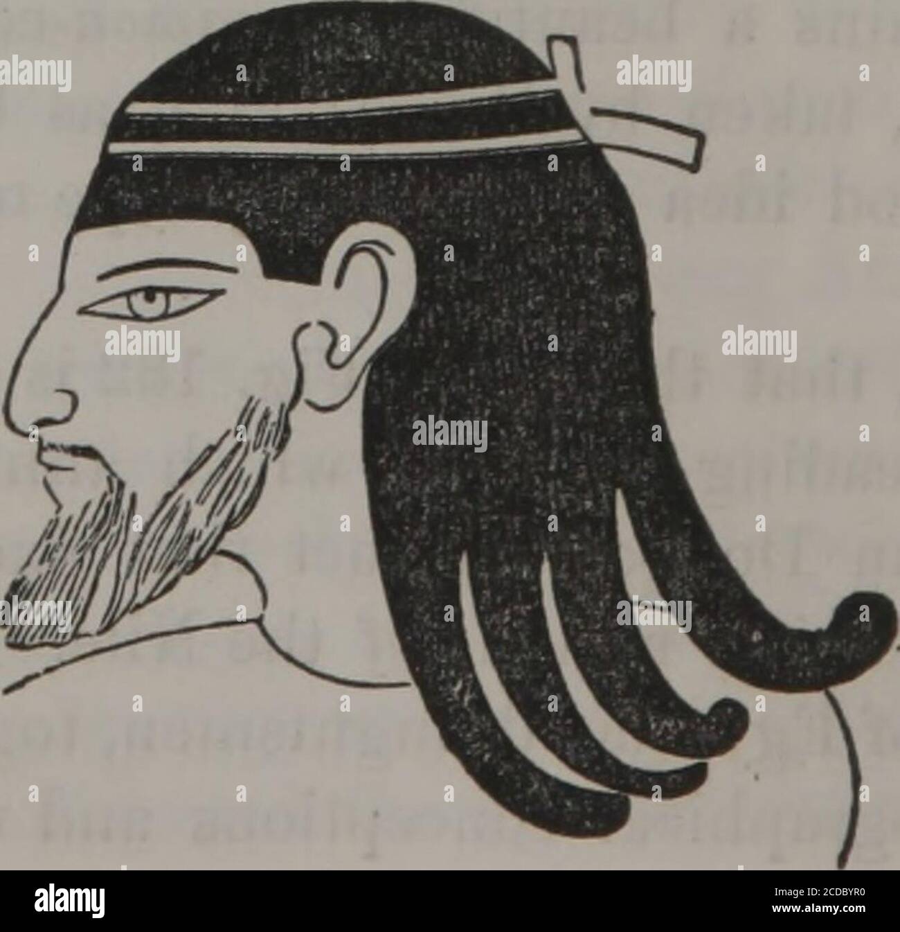 . Types of mankind : or ethnological researches, based upon the ancient ...
