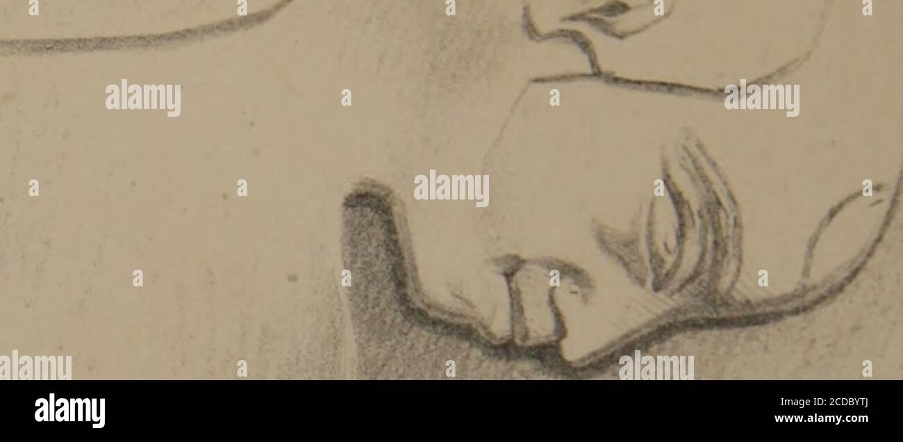 . Types of mankind : or ethnological researches, based upon the ancient ...