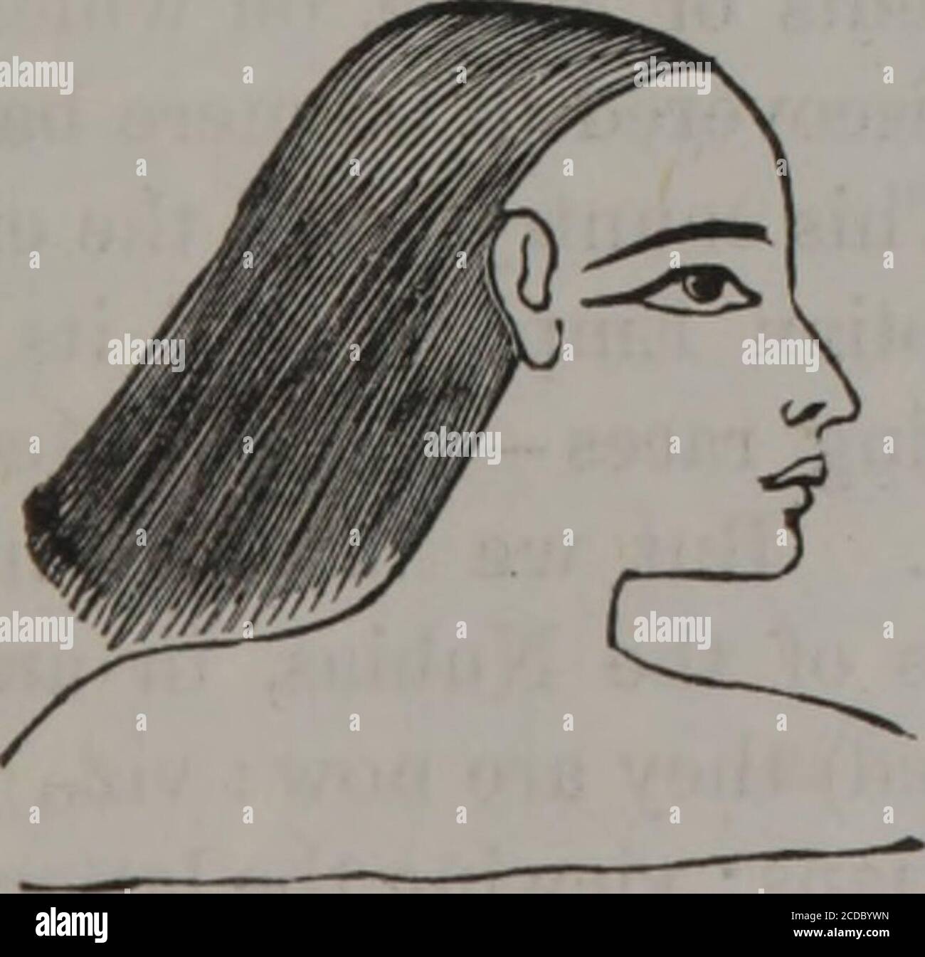 . Types of mankind : or ethnological researches, based upon the ancient ...