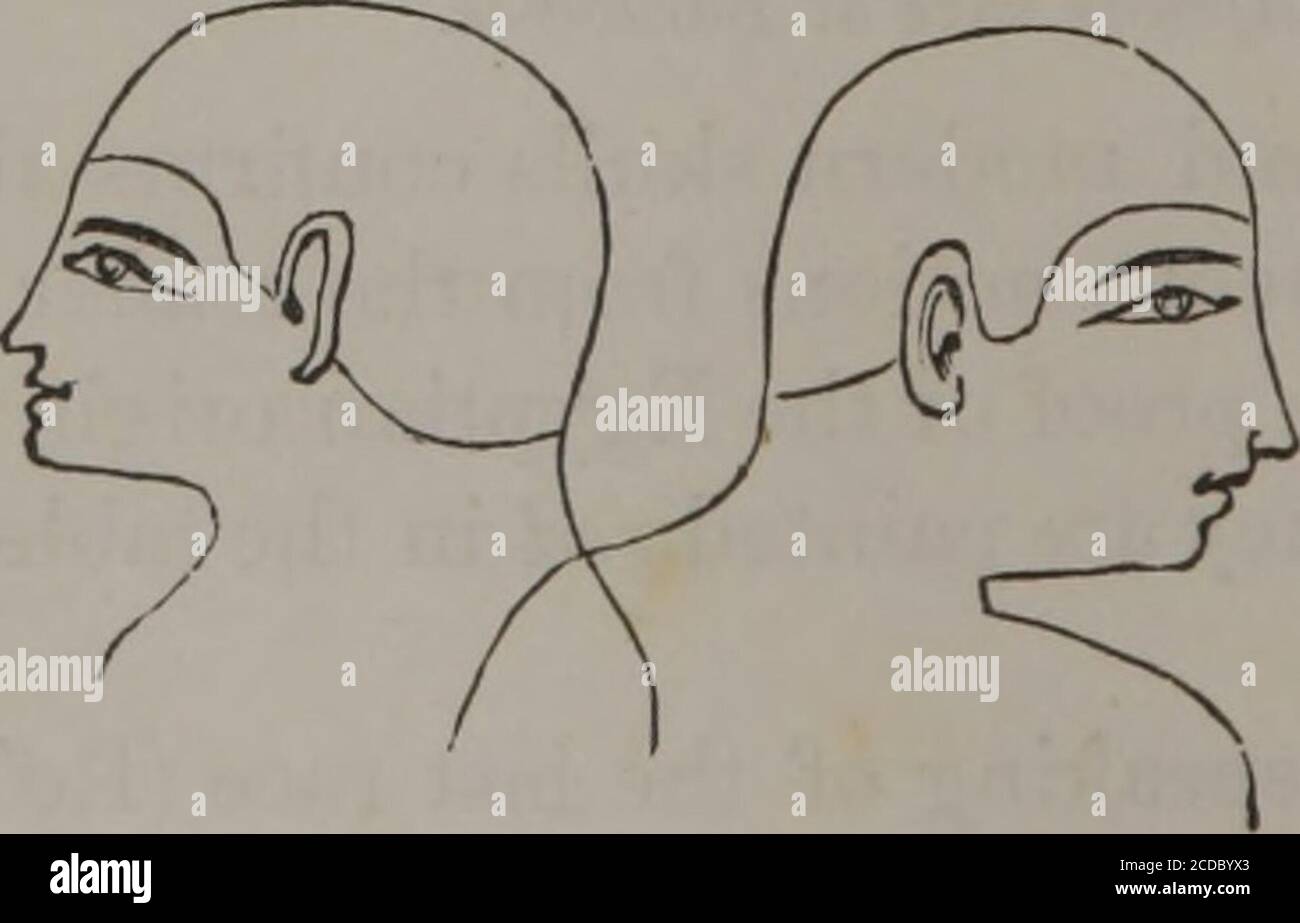 . Types of mankind : or ethnological researches, based upon the ancient ...