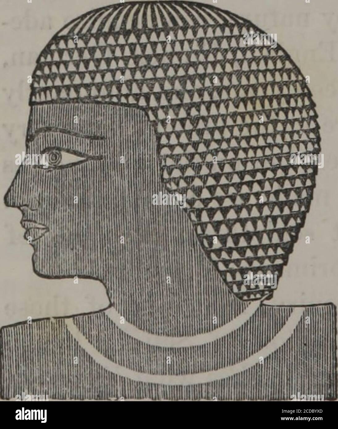 . Types of mankind : or ethnological researches, based upon the ancient ...