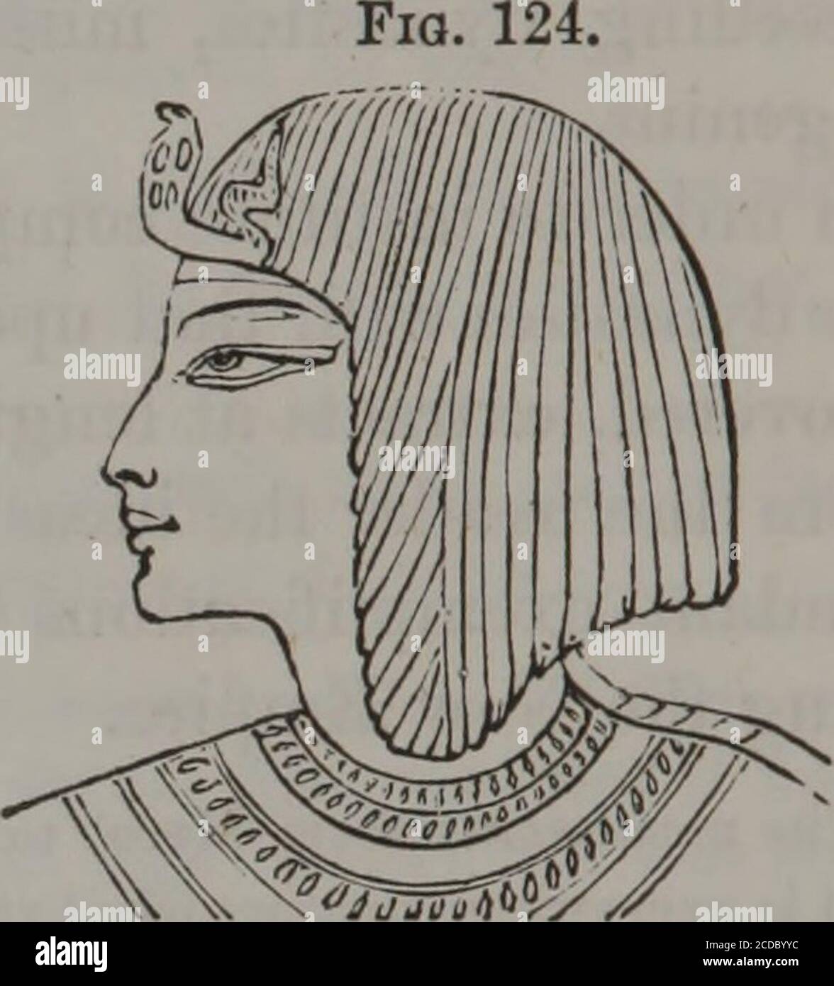 . Types of mankind : or ethnological researches, based upon the ancient ...