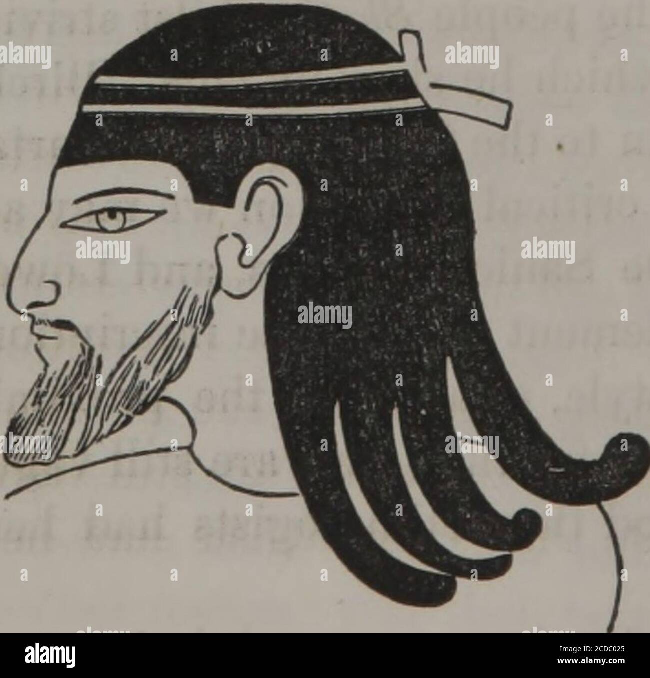 . Types of mankind : or ethnological researches, based upon the ancient ...