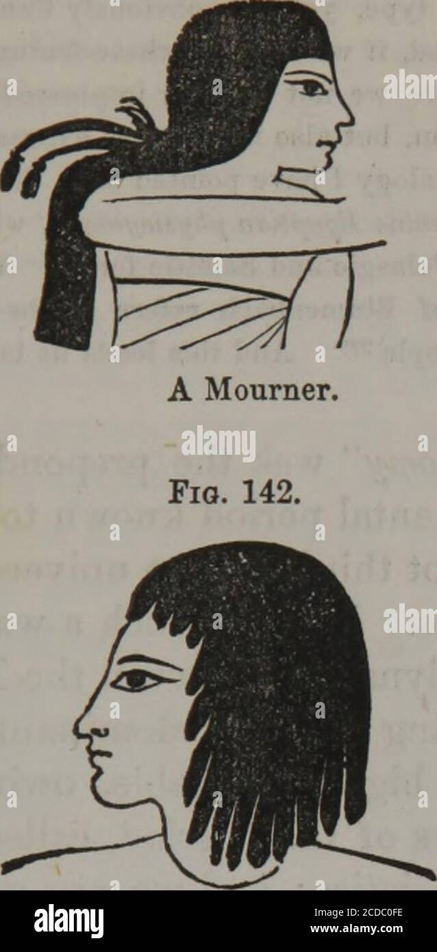 . Types of mankind : or ethnological researches, based upon the ancient ...