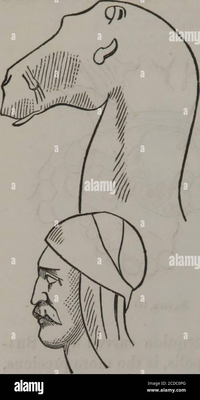 . Types of mankind : or ethnological researches, based upon the ancient ...