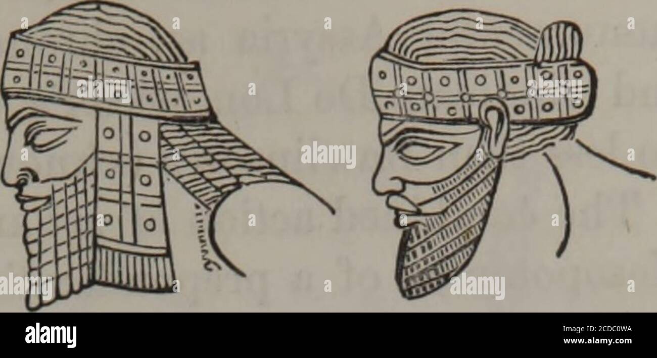 . Types of mankind : or ethnological researches, based upon the ancient ...