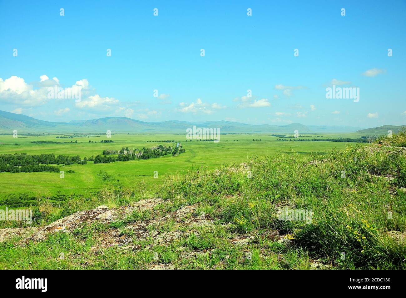 Endless steppes and fertile pastures under the summer cloudy sky ...
