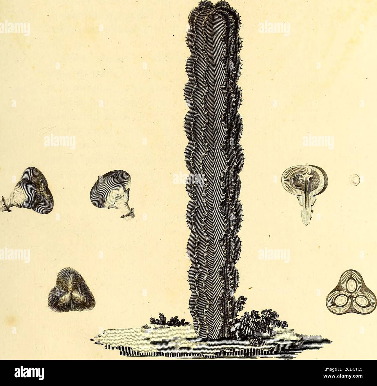 Awv hi-res stock photography and images - Alamy