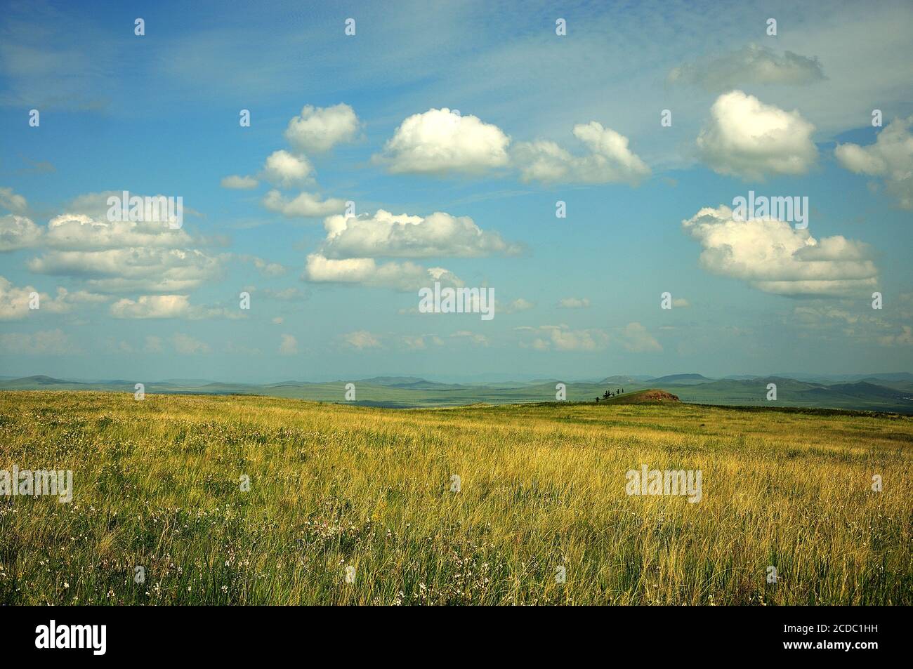 Endless steppes and fertile pastures under the summer cloudy sky ...