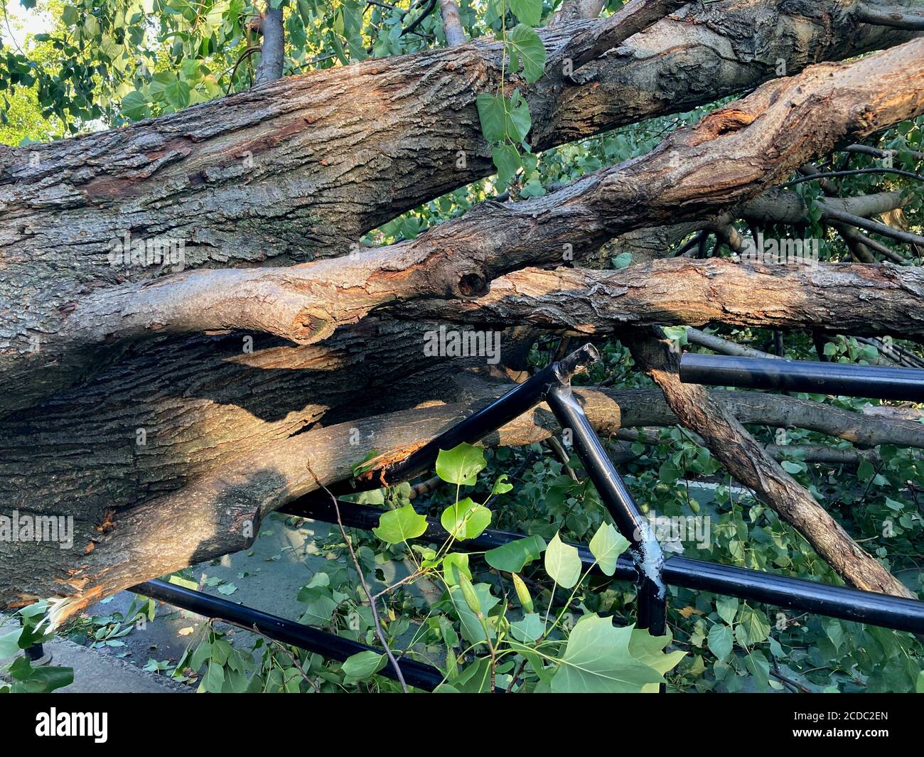 Cyclone fence hurricane fence hi-res stock photography and images - Alamy