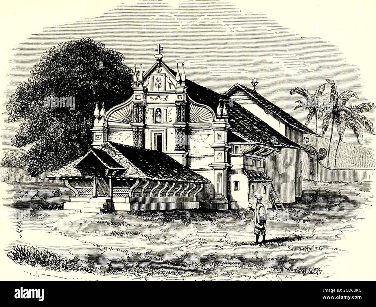 Thomas Doret High Resolution Stock Photography and Images - Alamy