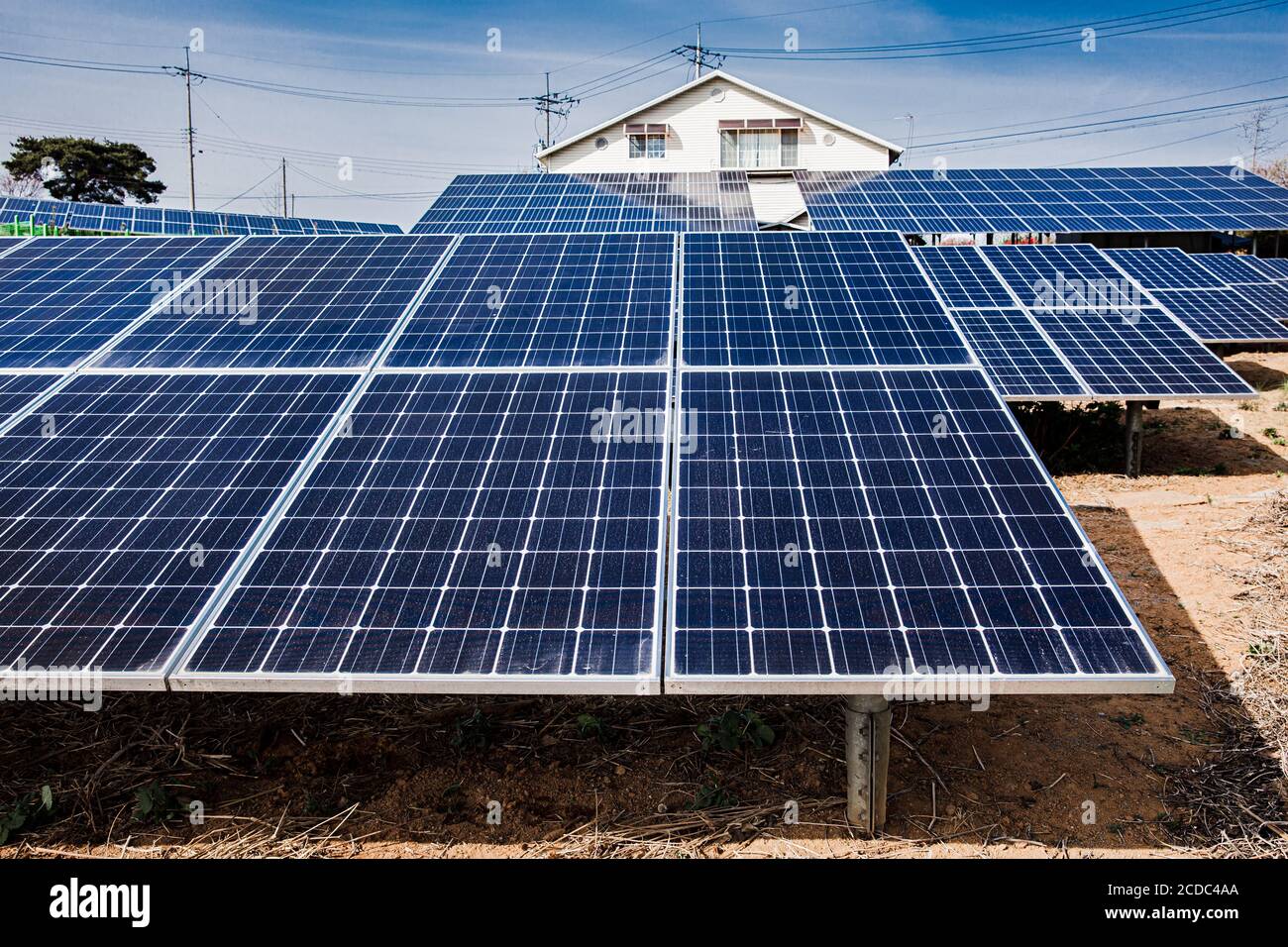 Green energy concept, Solar Panels and Wind Turbines 016 Stock Photo ...