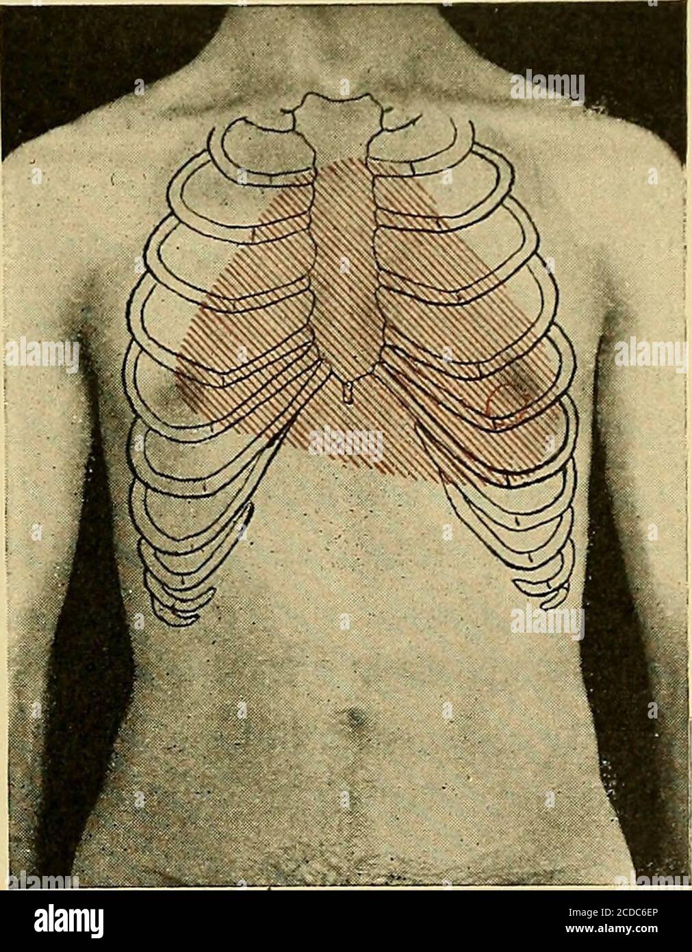 . Diseases of the heart and arterial system : designed to be a ...