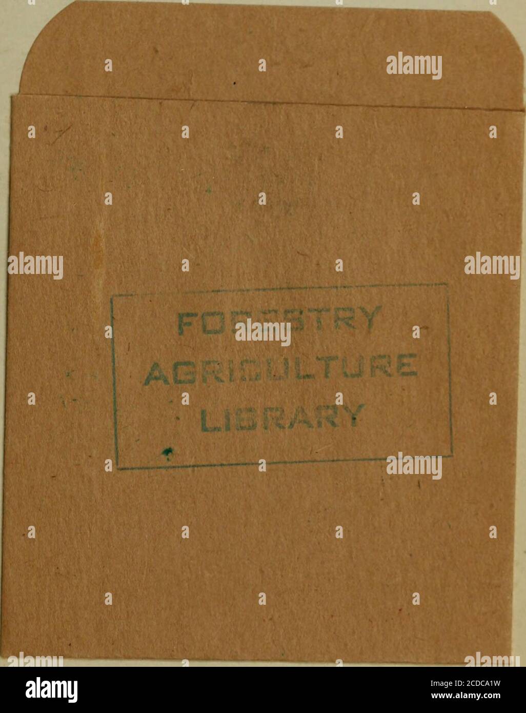 Fungous diseases of plants, with chapters on physiology, culture ...