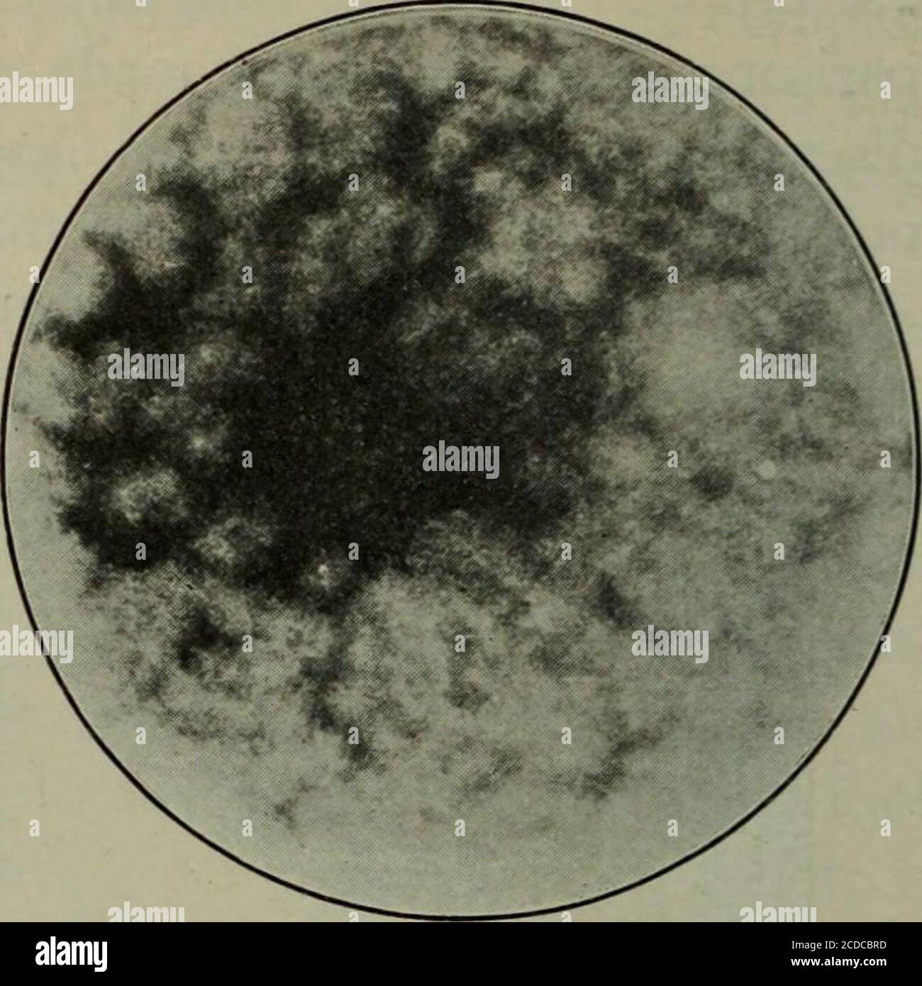 Beingstored hi-res stock photography and images - Alamy