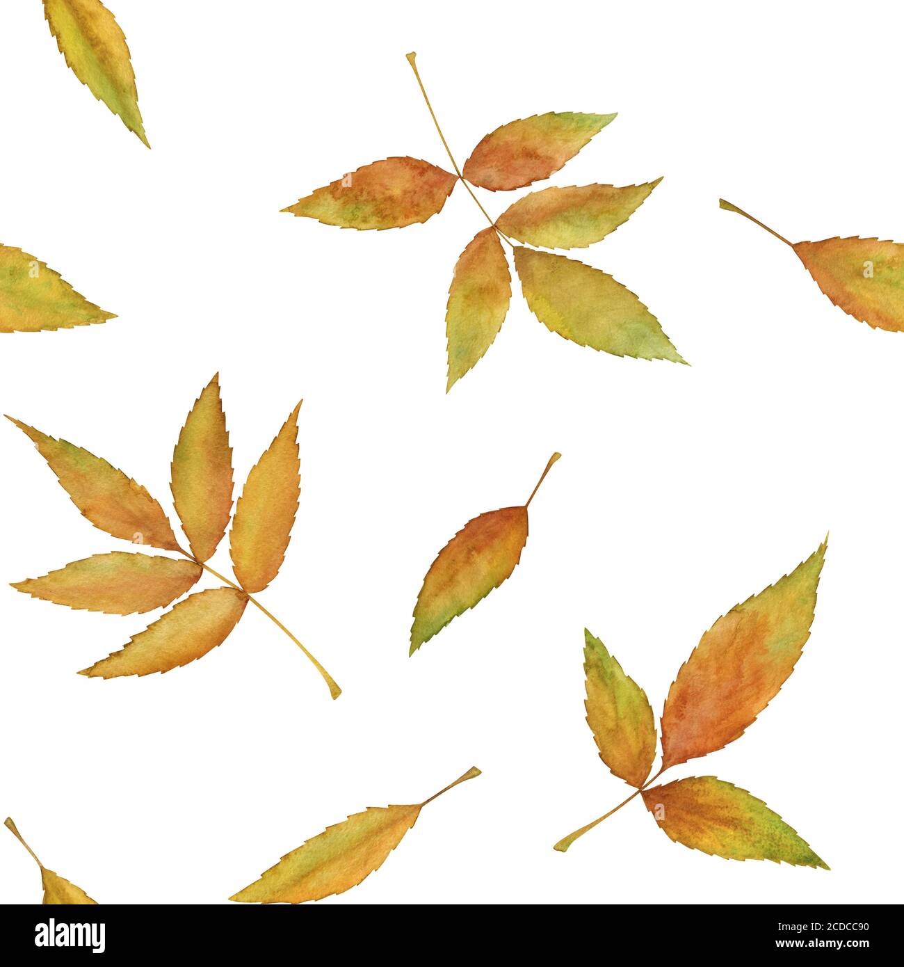 Colorful autumn leaves seamless Cut Out Stock Images & Pictures - Alamy
