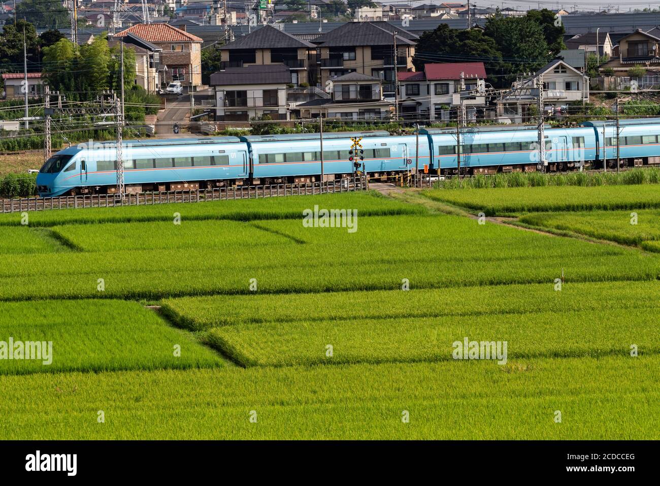 Odakyu Line passing through summer rice field in the morning, Isehara ...