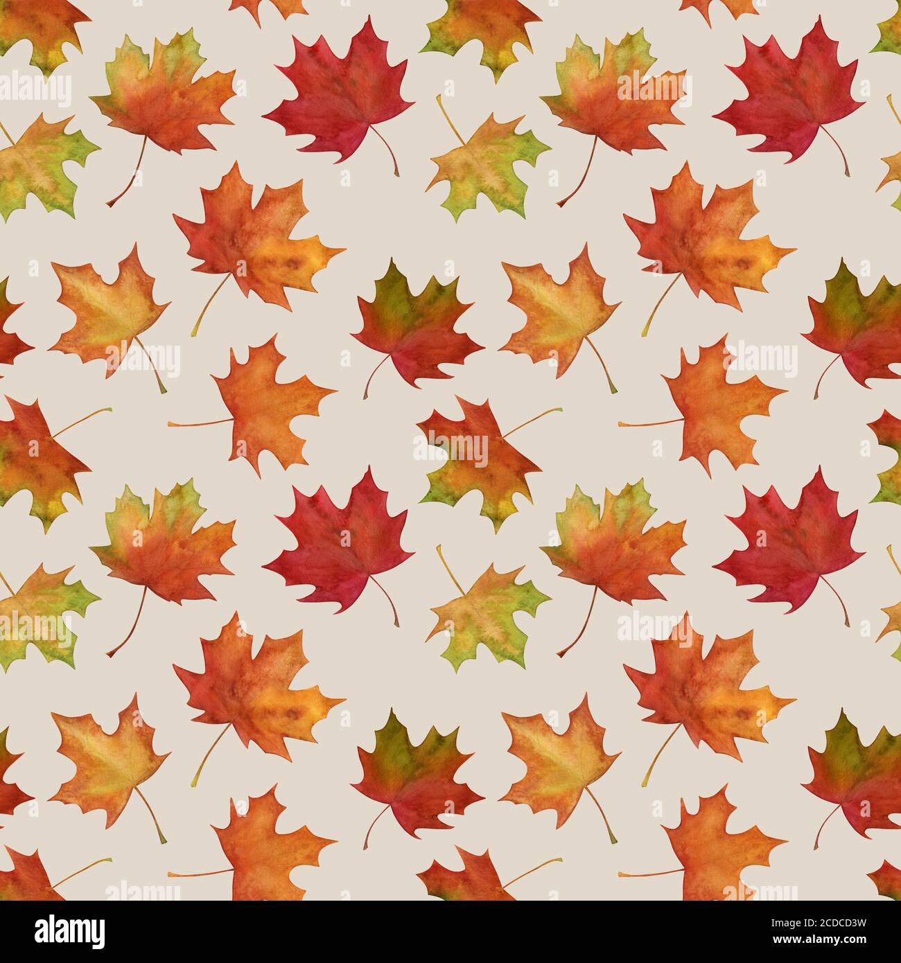 Hand drawn colorful maple leaves seamless pattern Stock Photo - Alamy