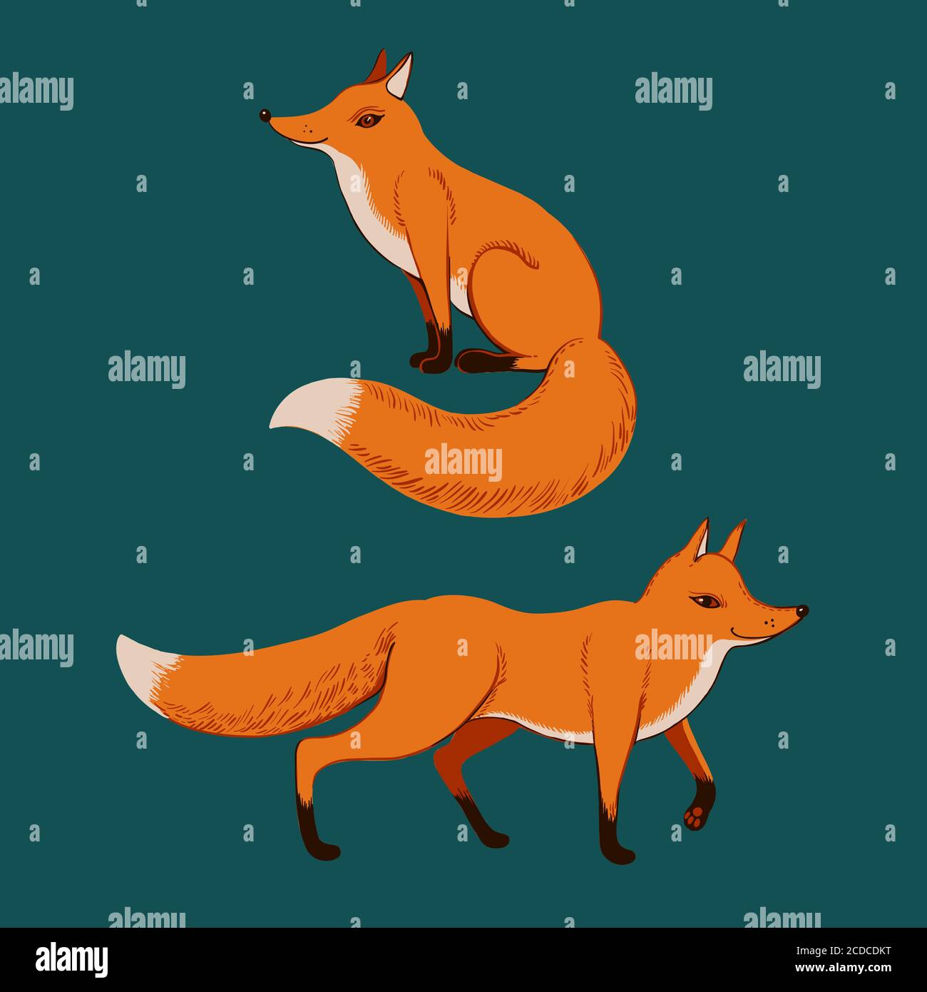 Red ginger Stock Vector Images - Alamy